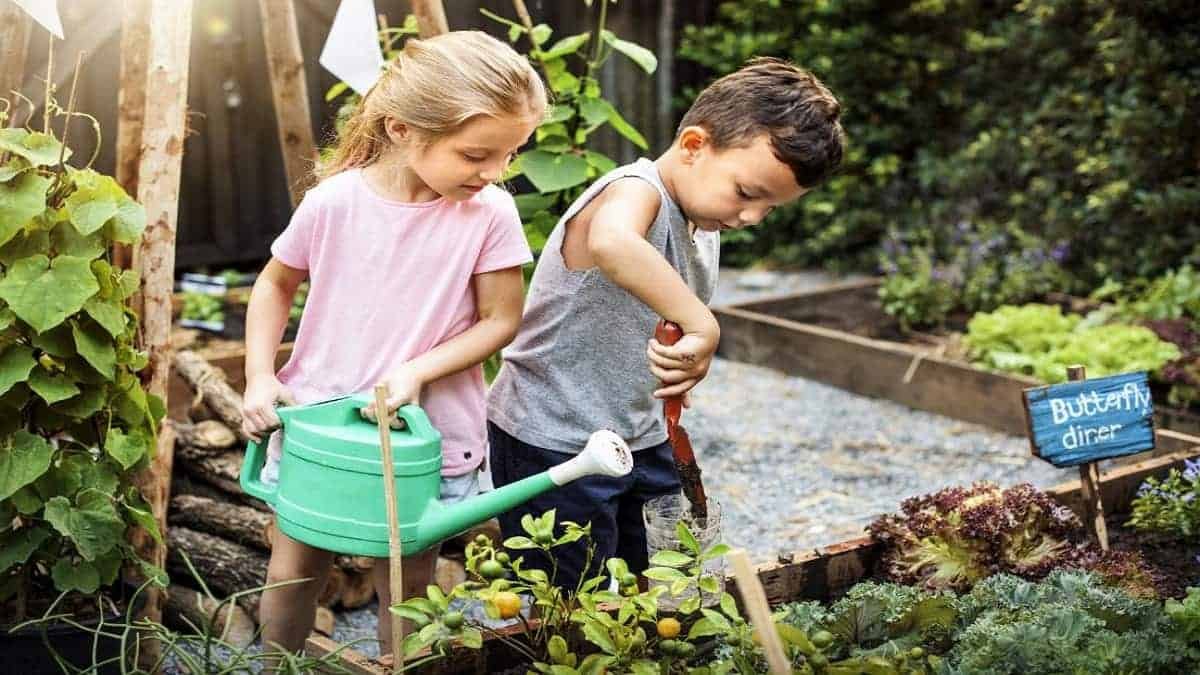 Best Gardening Tools for Toddlers