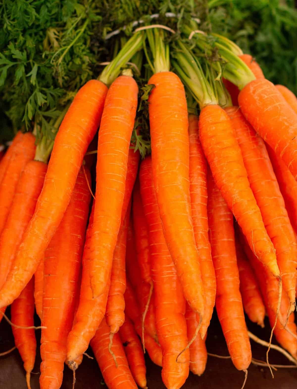 How to Grow the Best Carrots
